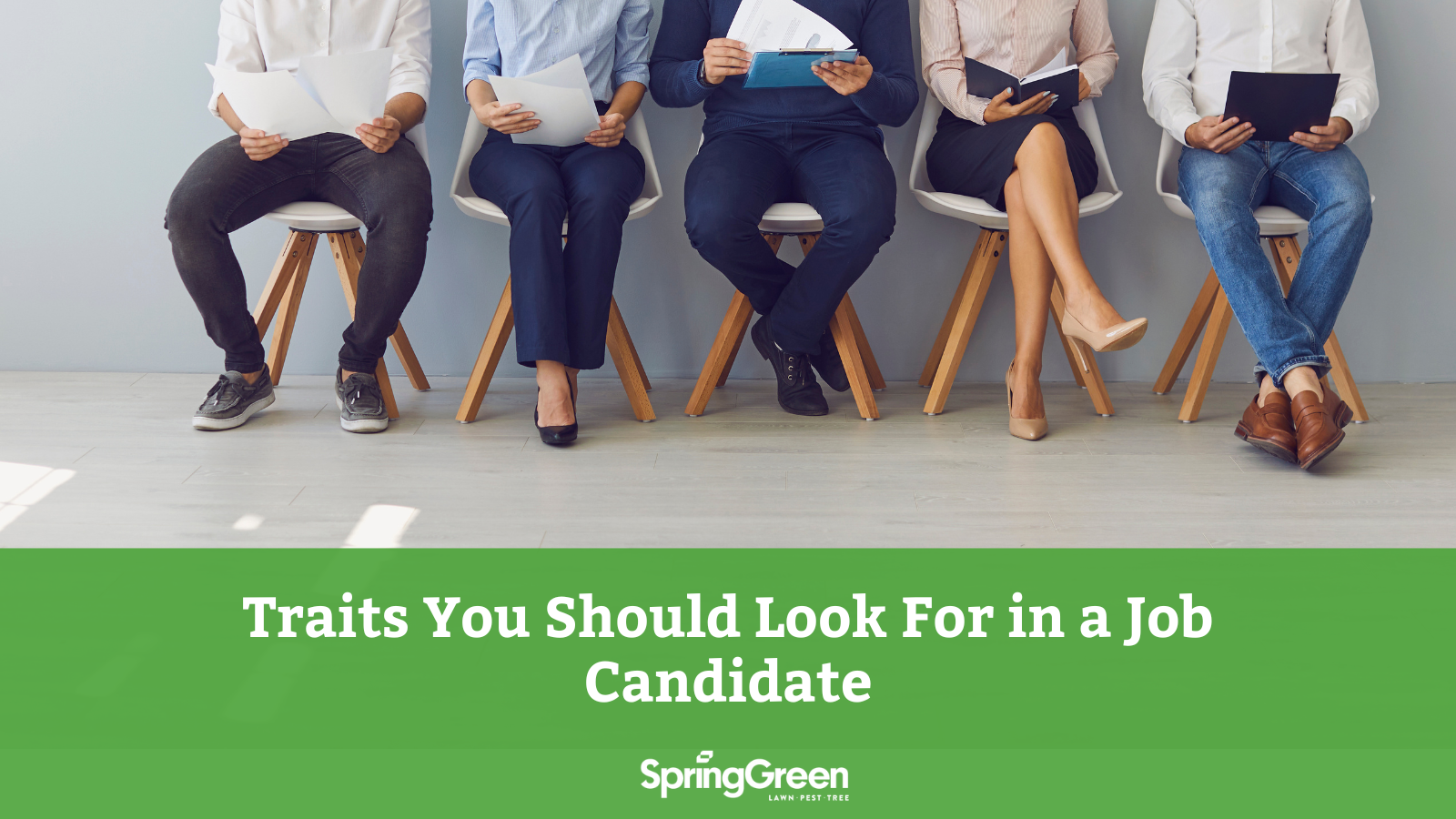 6 Traits You Should Look For In Any Job Candidate - Spring Green ...